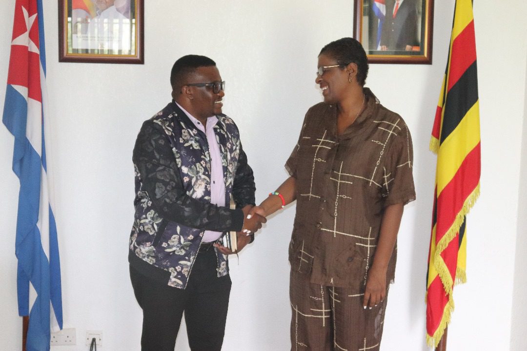 Championing The Pan-Africanism Agenda: Inside PAP Speaker Irumba's ...